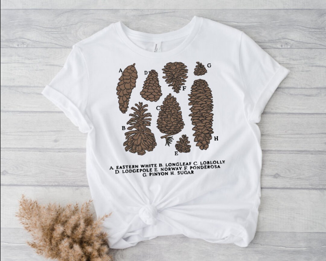 Pinecone | Cottage Core | Svg and Png | Instant Download - Etsy