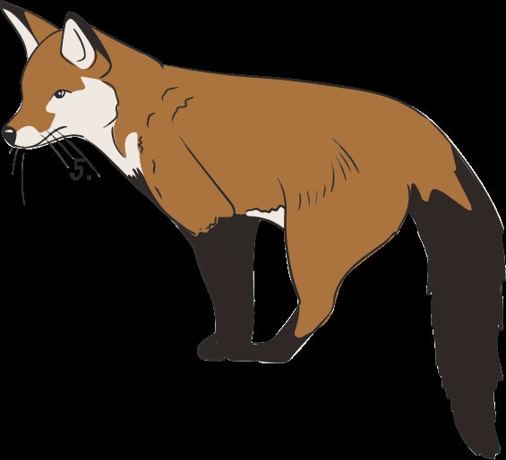 Fox Cottage Core Svg and Png Instant Download - Etsy