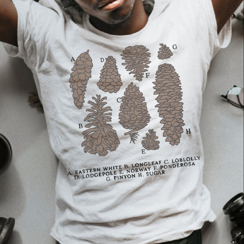 Pinecone Cottage Core Svg and Png Instant Download - Etsy