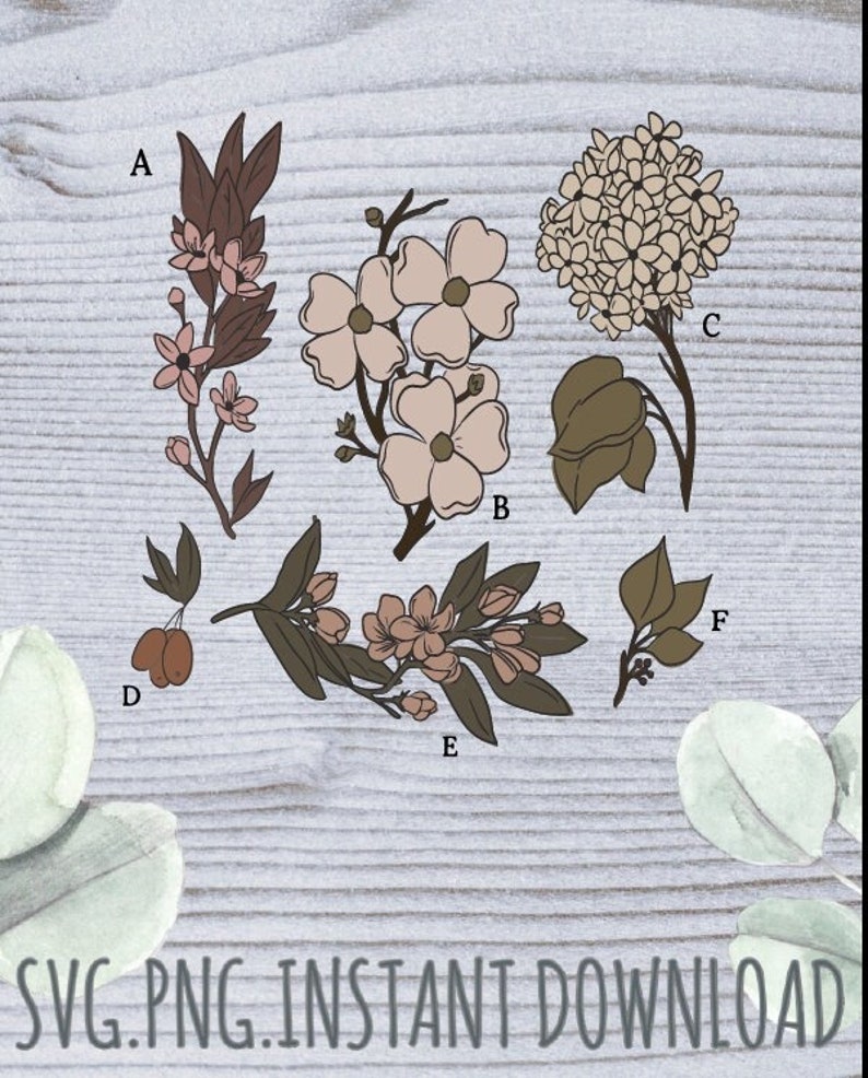 Flower SVG & PNG Cottage Core Svg and Png Instant Download - Etsy