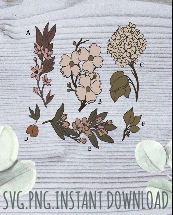 Flower SVG & PNG Cottage Core Svg and Png Instant Download - Etsy