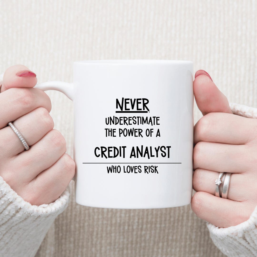 Never Underestimate a Credit Analyst Who Loves Risk Mug | Funny Credit ...