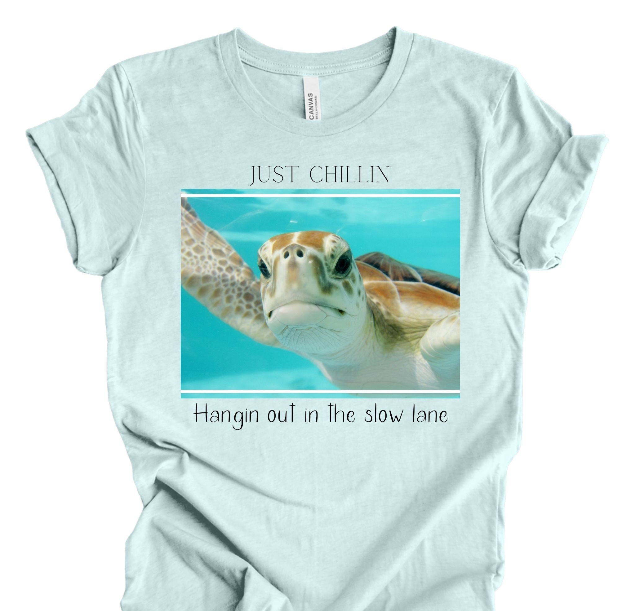 Turtle Just Chillin, Hangin Out in the Slow Lane, Sea Turtle Beach ...