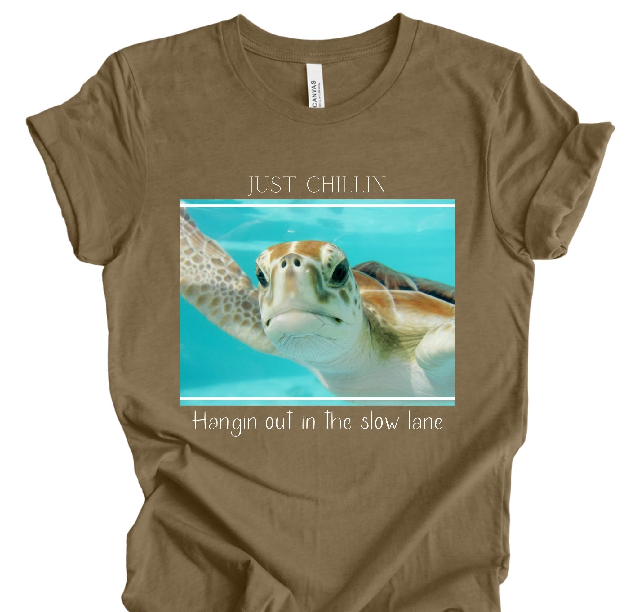 Turtle Just Chillin, Hangin Out in the Slow Lane, Sea Turtle Beach ...