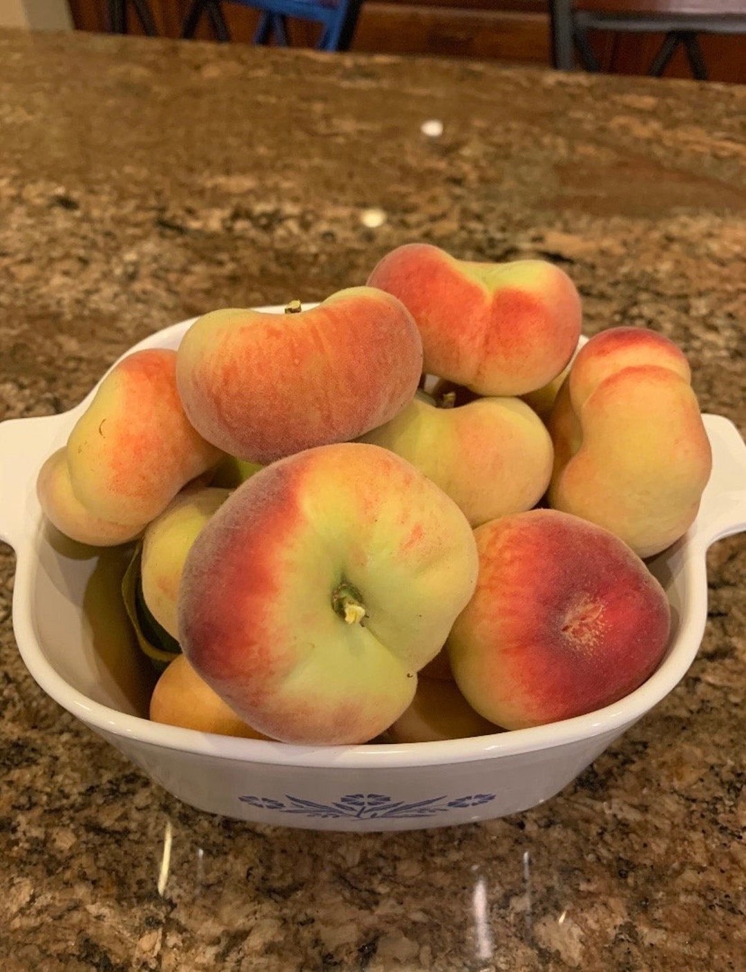 Dwarf Donut Peach Tree 5 Cuttings/scions for Rooting Your Own Donut ...