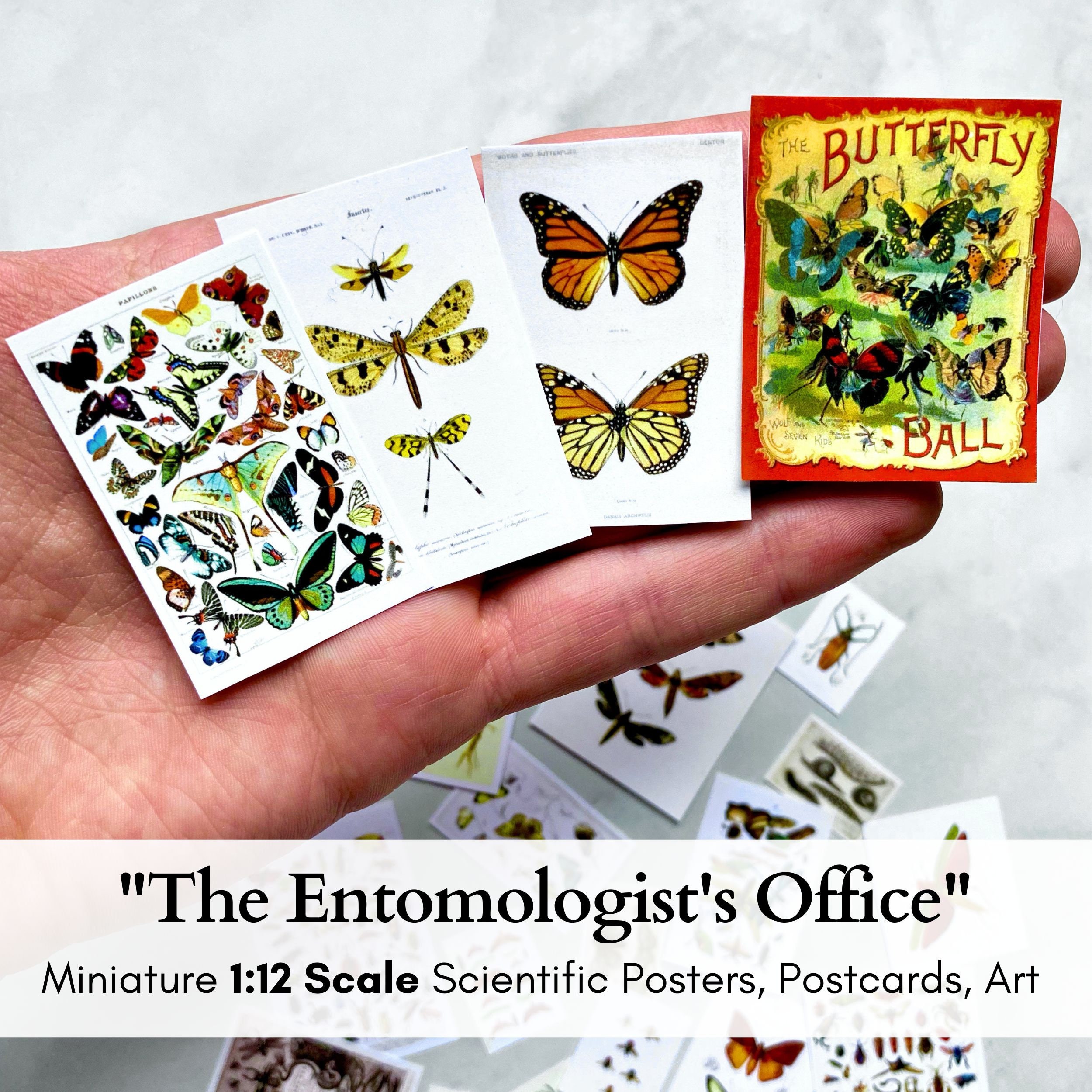 Miniature Dollhouse Posters Dollhouse Wall Art Decor Miniature Insect ...