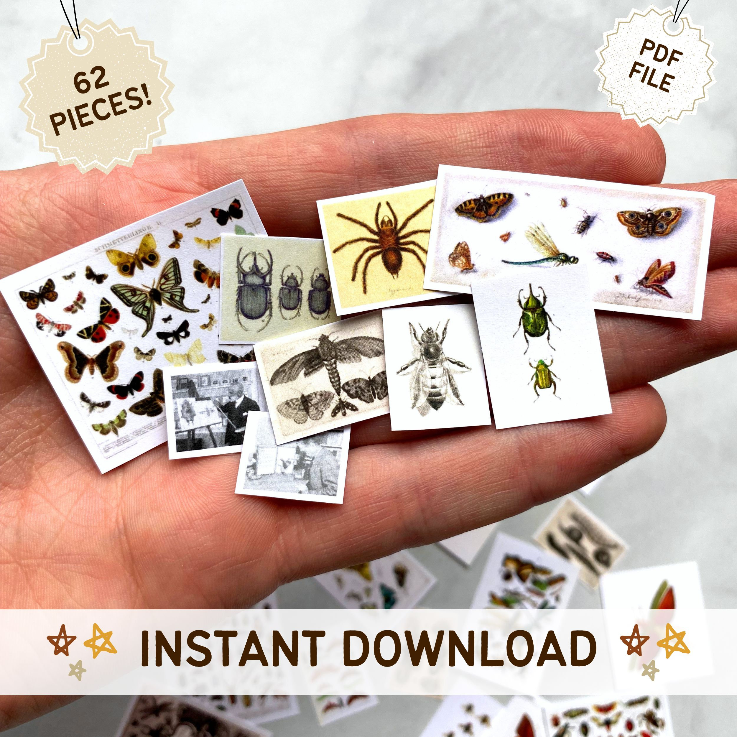 Miniature Dollhouse Posters Dollhouse Wall Art Decor Miniature Insect ...