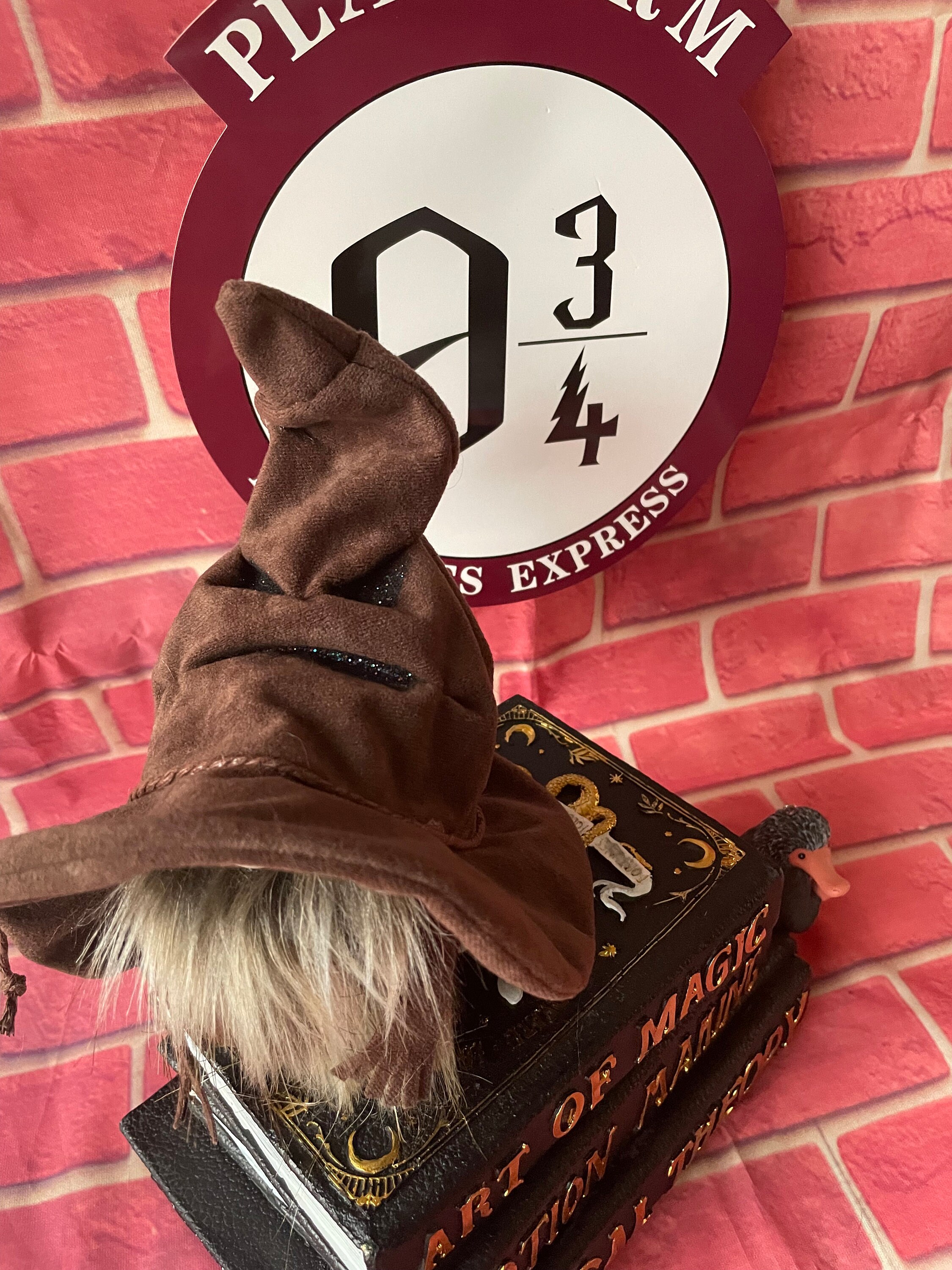 Magic Sorting Gnome Of The Wizard World Etsy