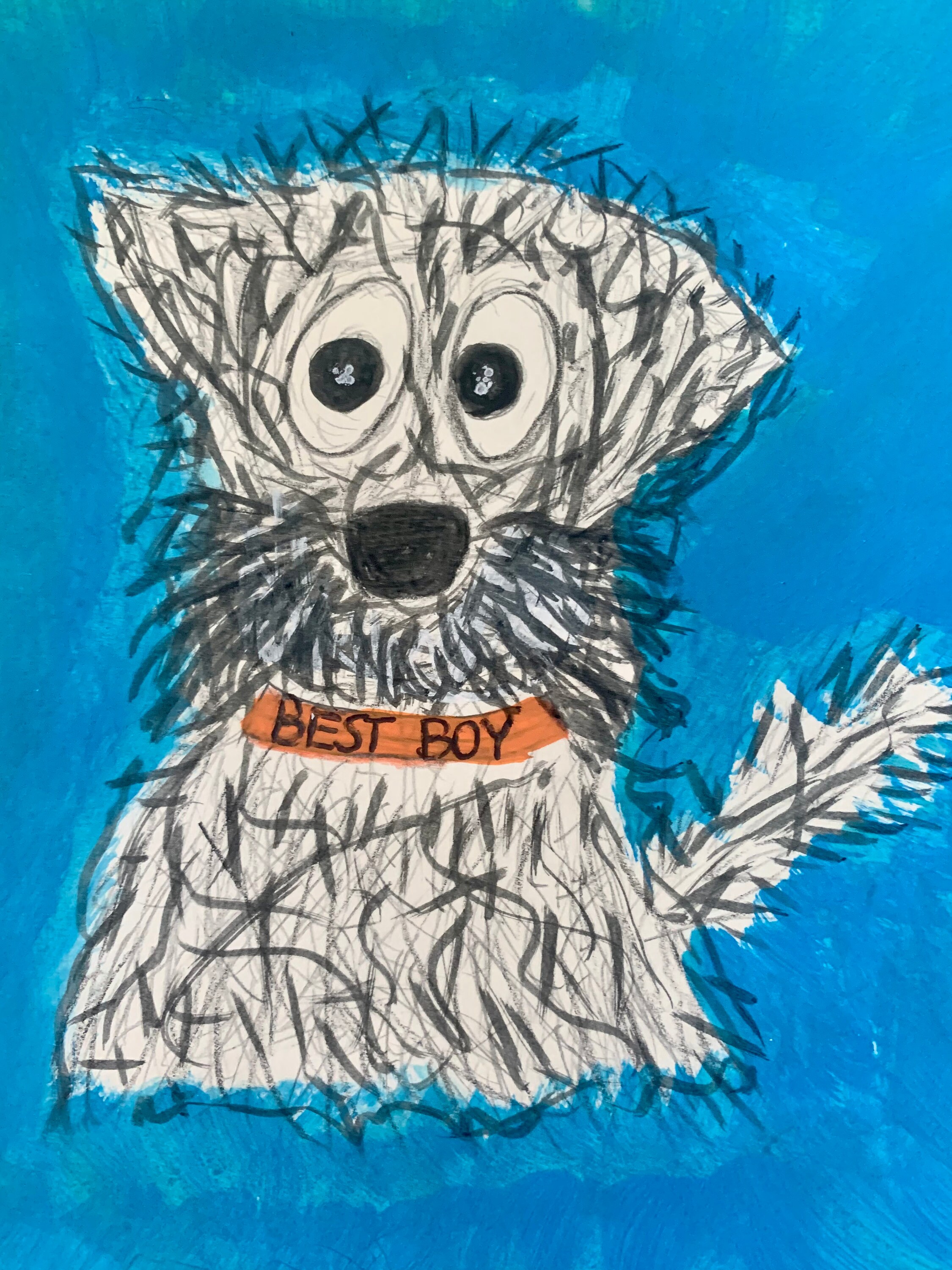 BEST BOY That Scraggly, Hairy Little Creature That Just Grabs Your ...