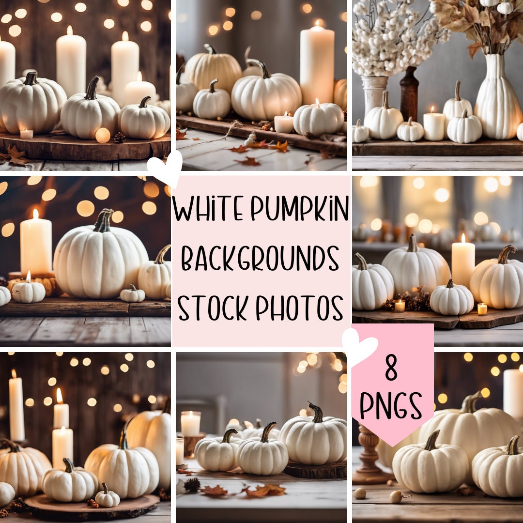 Pumpkin Product Photography Backgrounds, White Pumpkin Stock Photos ...