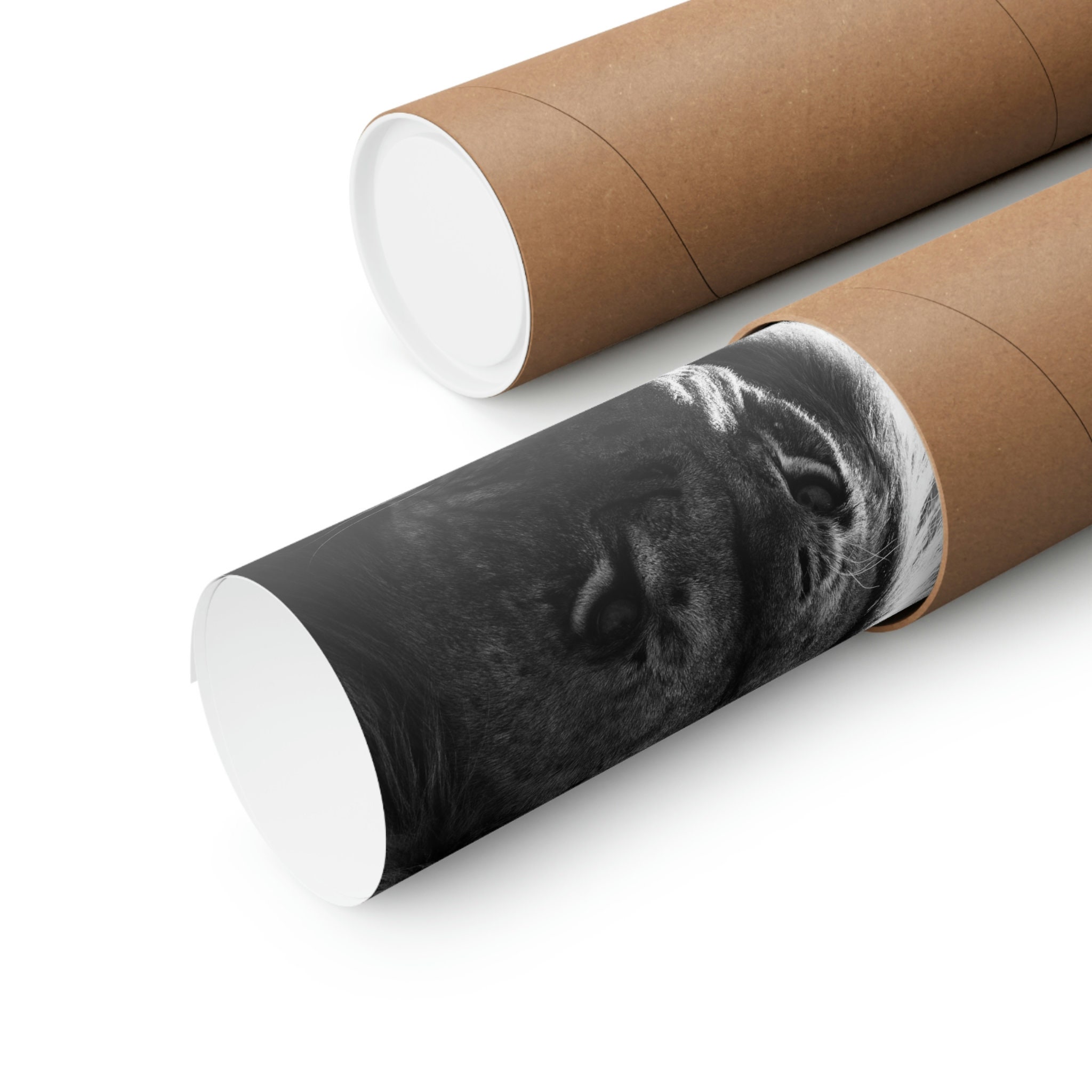 Motivational Lion Poster Grindset Mindset - Etsy