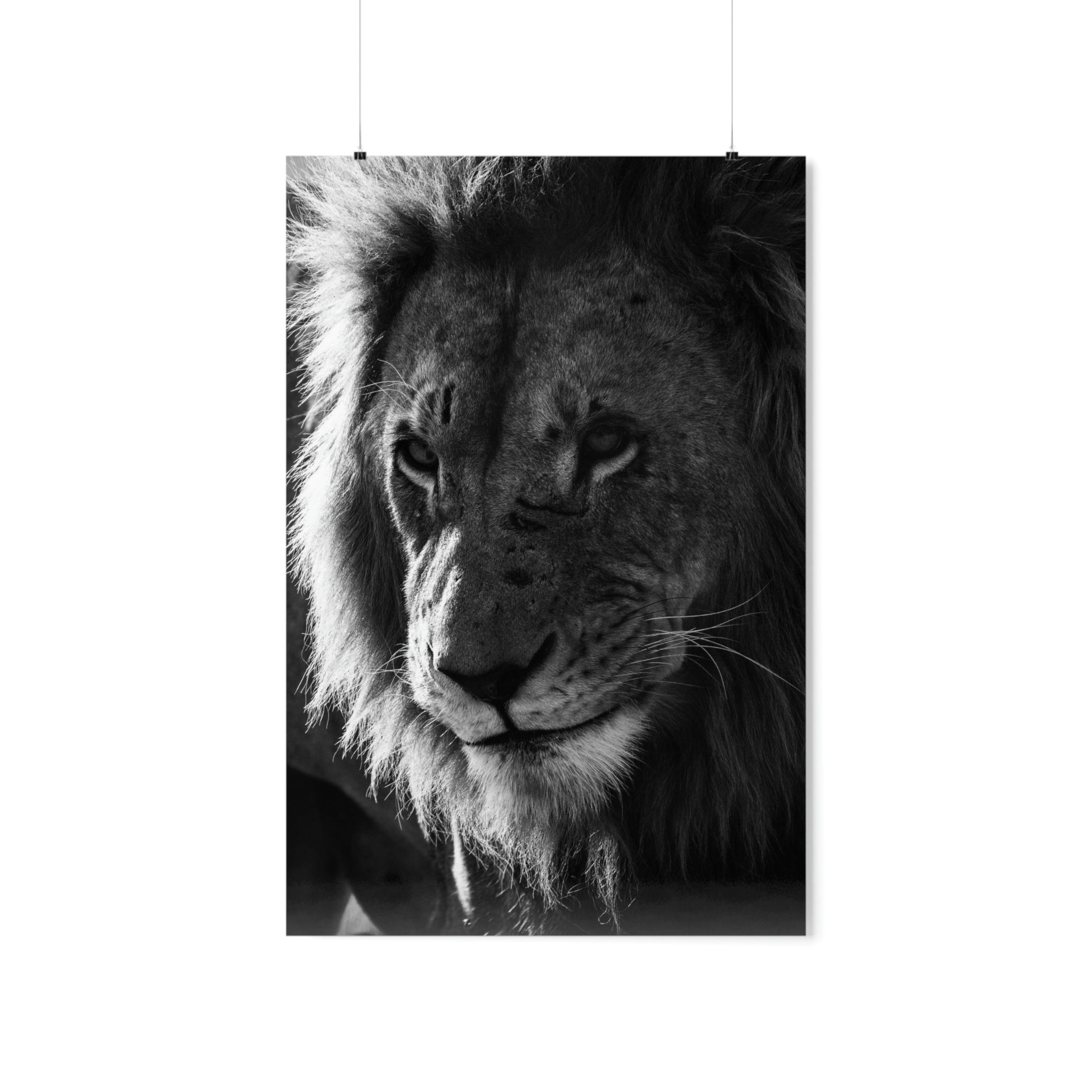 Motivational Lion Poster Grindset Mindset - Etsy
