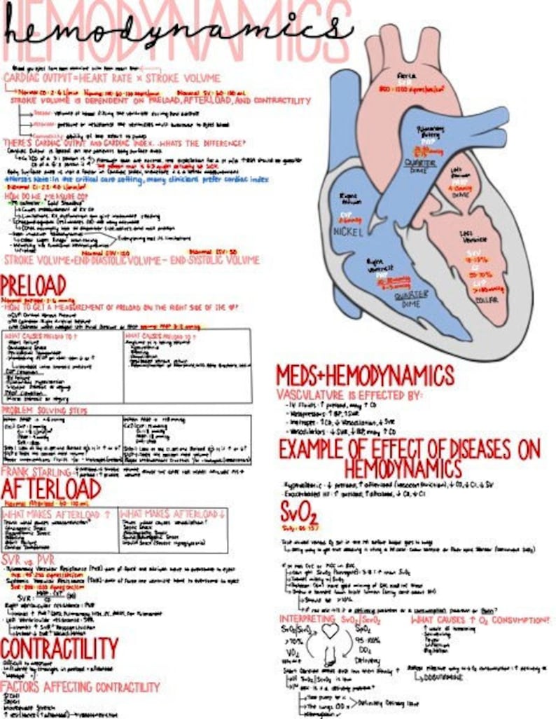 Basic Hemodynamics - Etsy