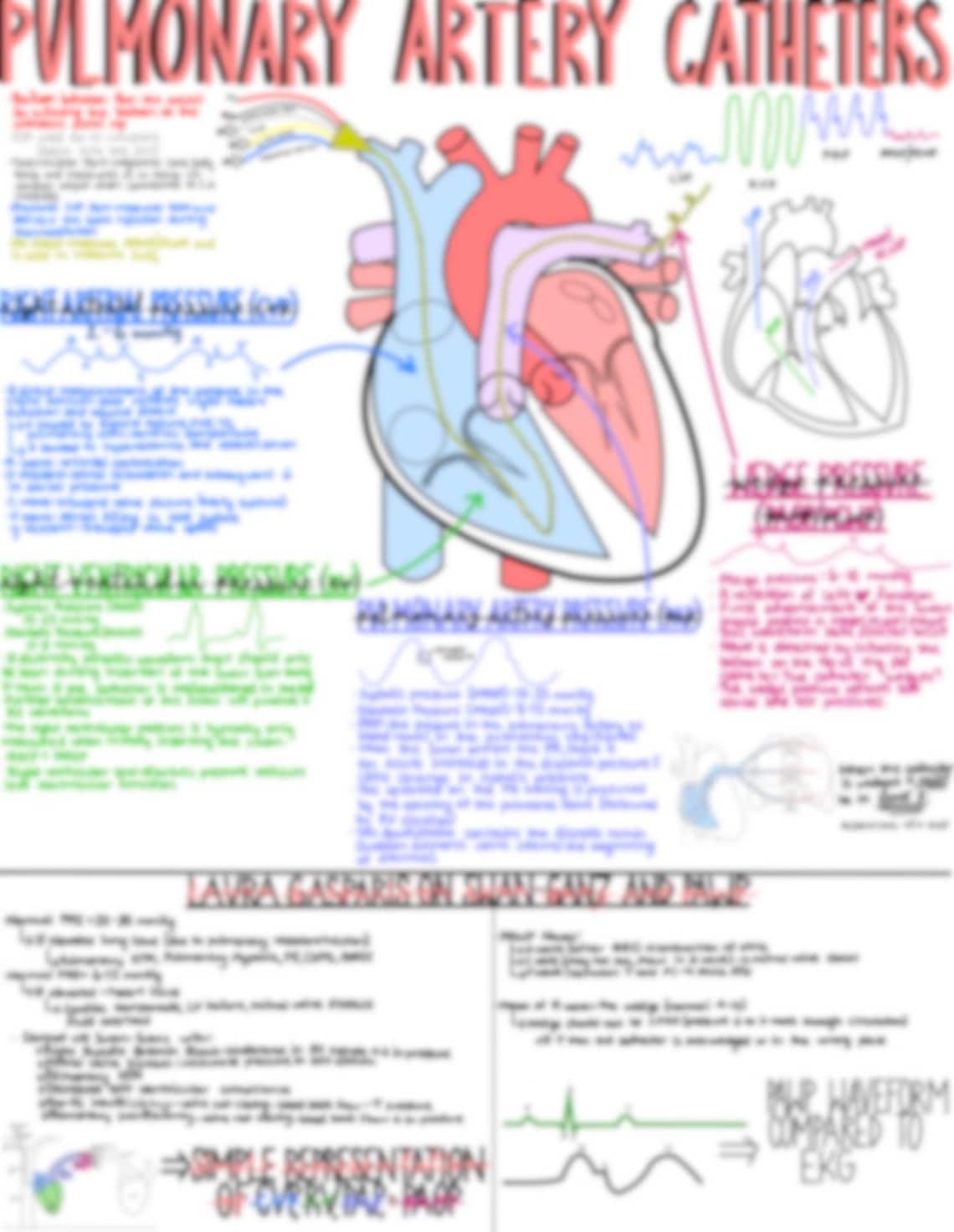 Pulmonary Artery Catheters - Etsy