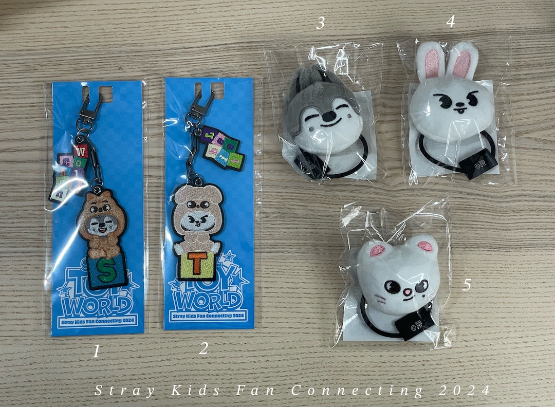 Stray Kids Toy World Japan Official Photocards and Merch - Etsy