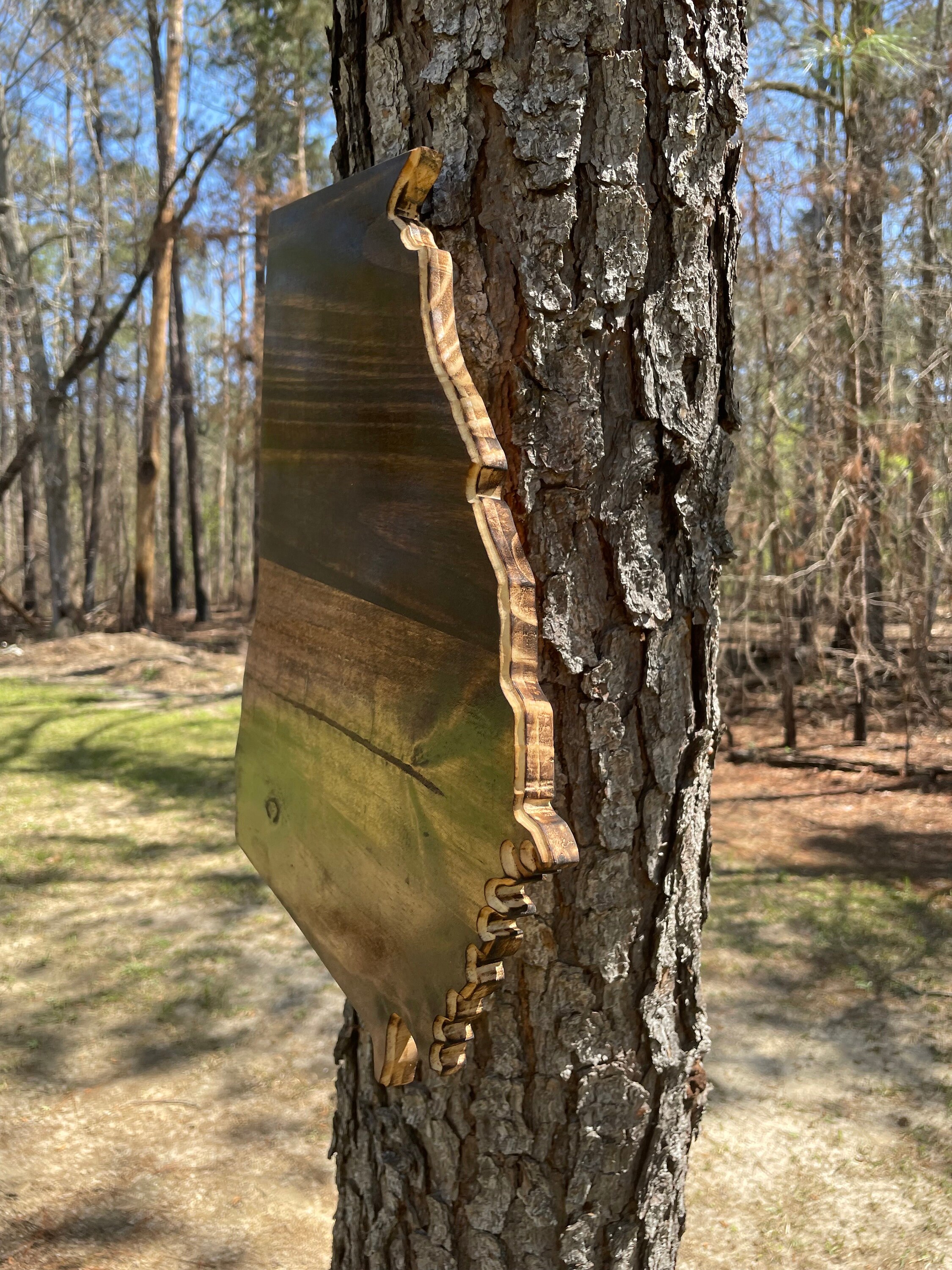 Skull Mount Plaque state Plaque - Etsy