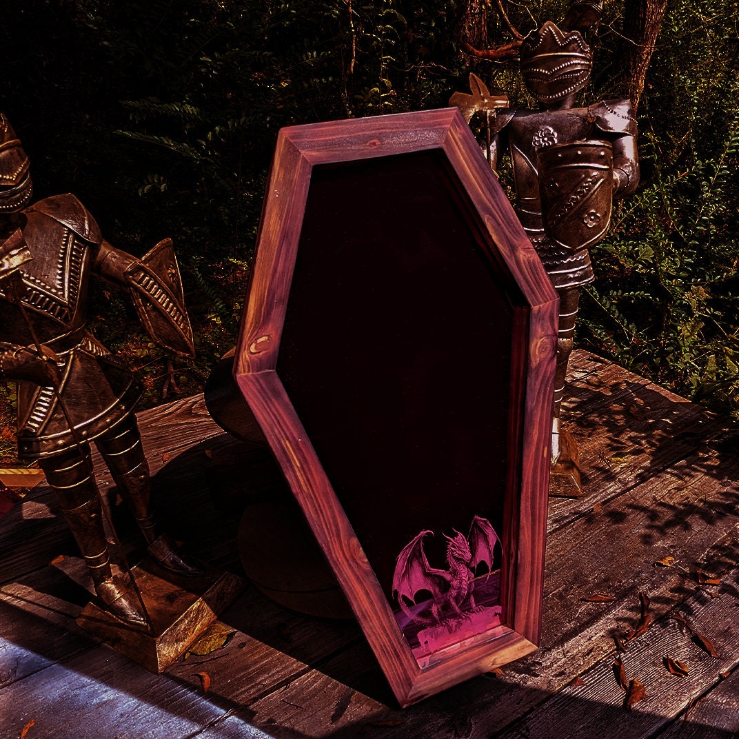 Gothic Coffin Mirror Dragon Engraving Pink Halloween - Etsy