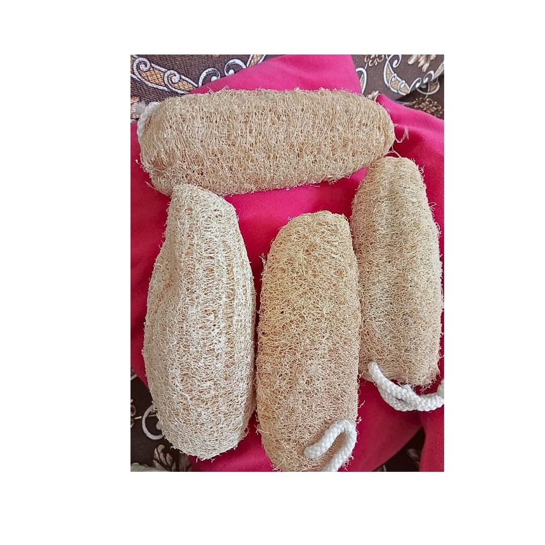 100% Natural Loofahset OF 4sponge Bathroom Plastic Free Compostable ...