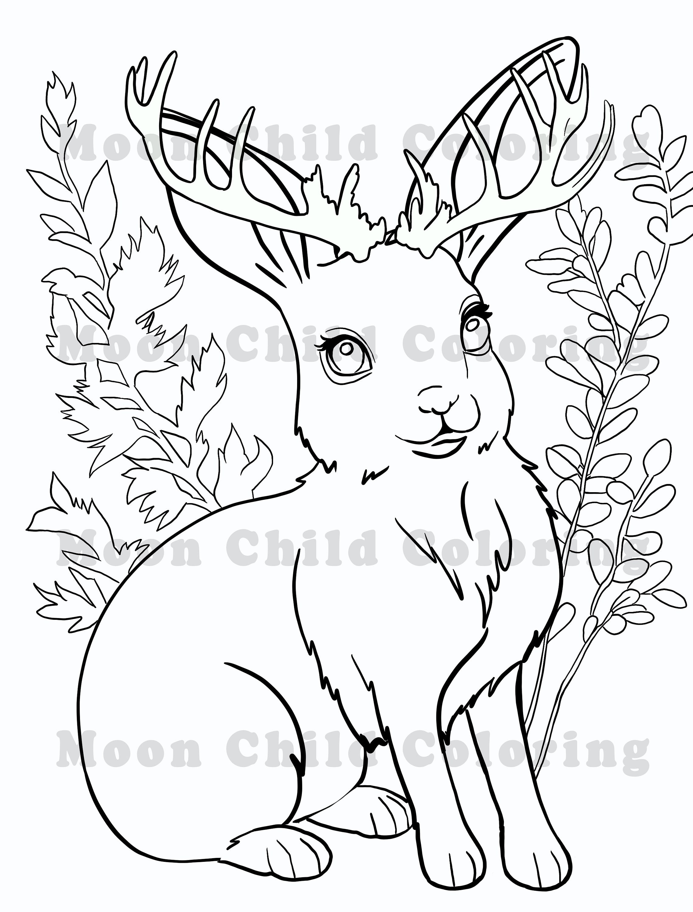 30 Mythical Creatures | Coloring Book for Kids | Unicorns, Dragons ...
