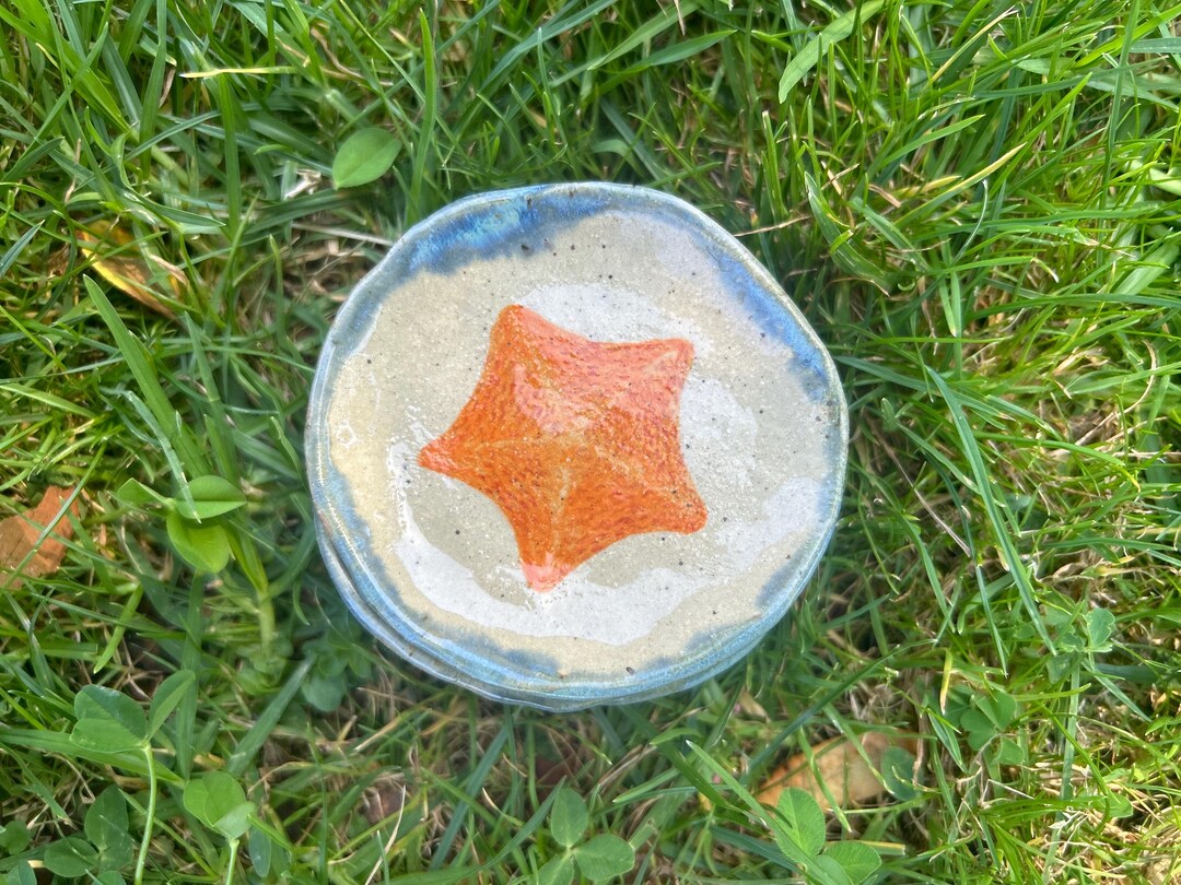 Ceramic California Bat Star Dish - Etsy