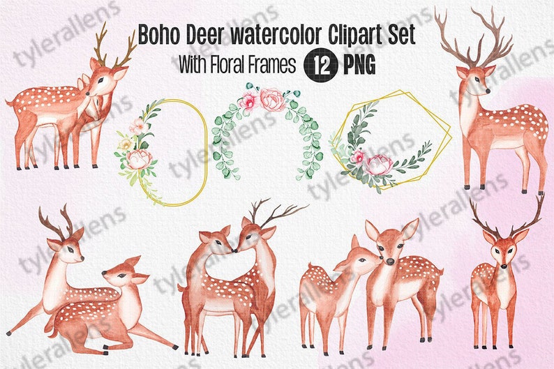 Boho Deer Watercolor Clipart Set 12 Png Files Baby Deer - Etsy