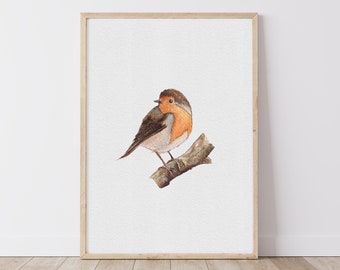 Hand Painted Robin Wall Art - Etsy