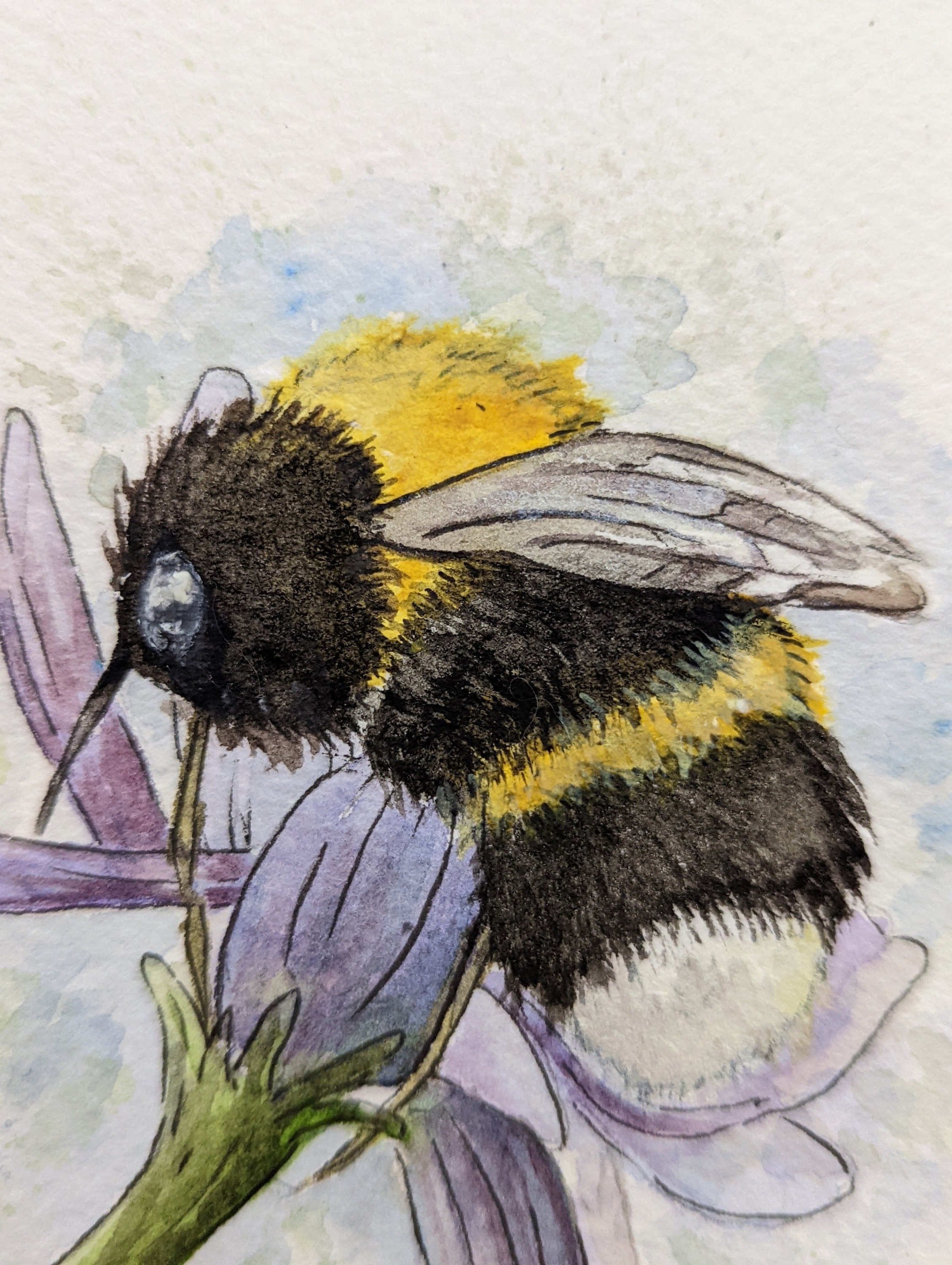 Bee Watercolour Print, Bumble Bee Art, Nursery Wall Art, Wildlife ...
