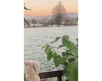 Matte Vertical Posters - Etsy