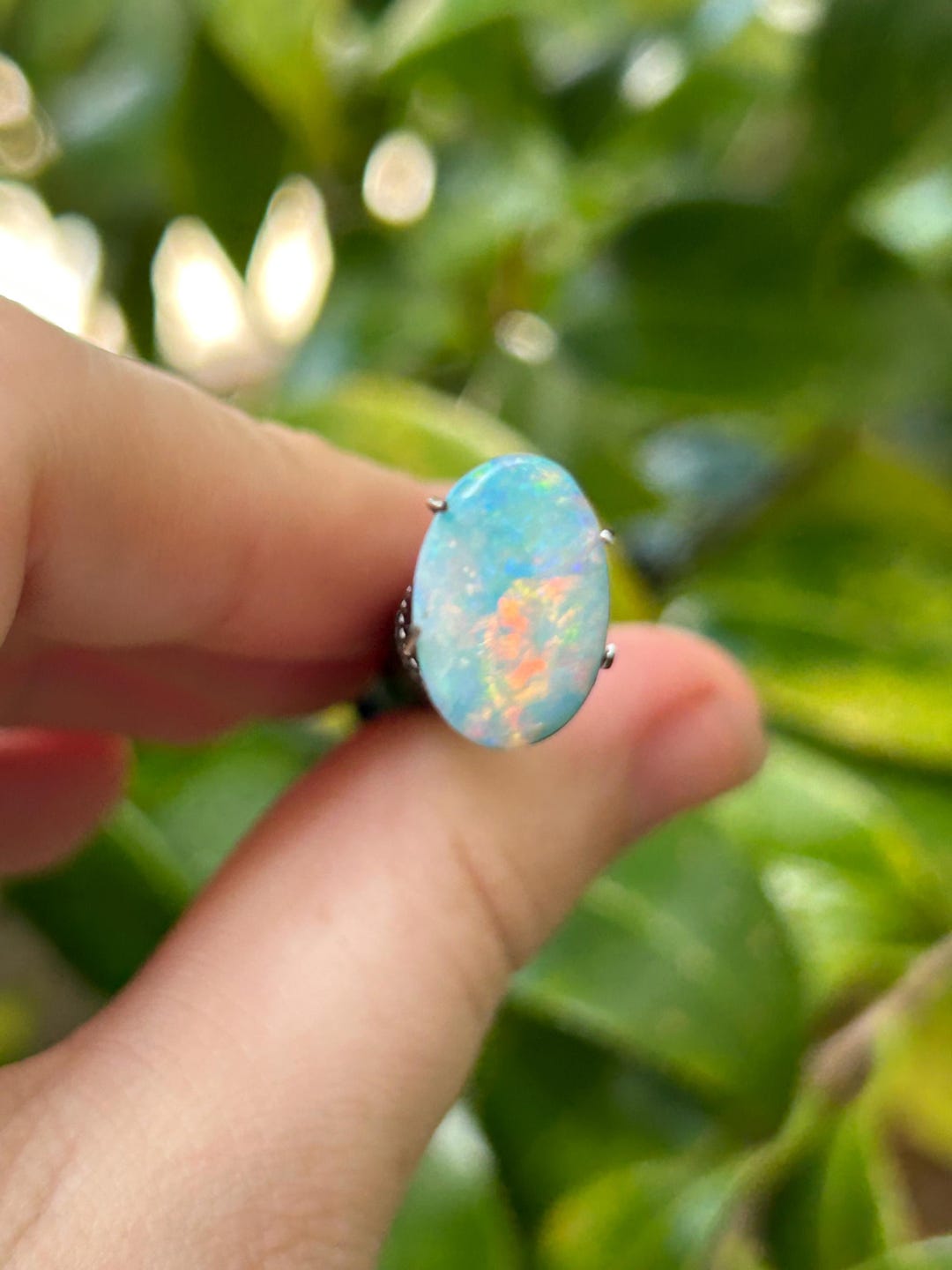 Coober Pedy Shell Fossil Opal Doublet - 2.5 Carats - Blue Opal With ...