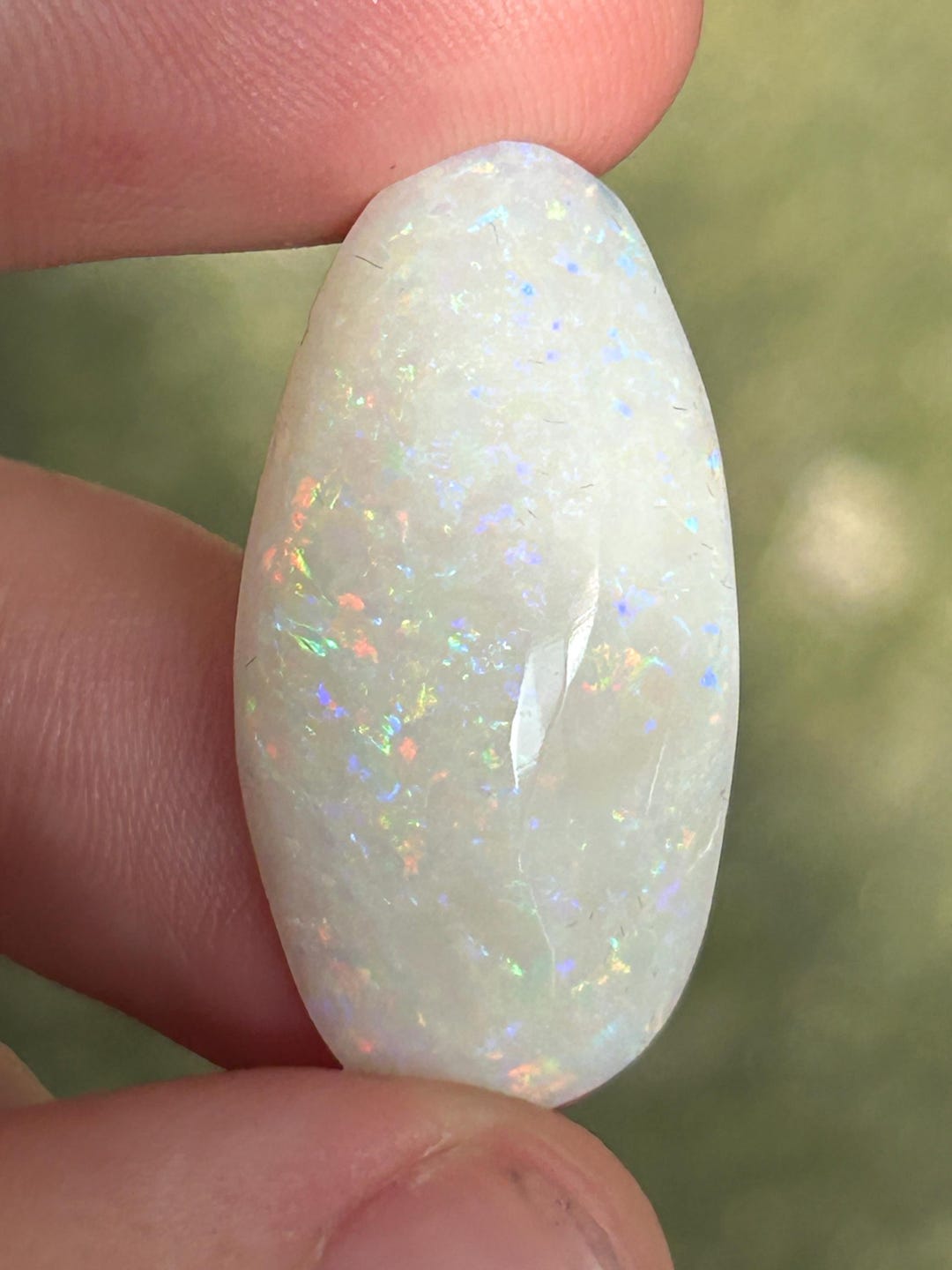 Coober Pedy Opal Shell Fossil Solid - 14.3 Carats - White Opal With ...