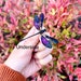 Euphaea Variegata, Teal and Violet Glittering Damselfly, Real Dragonfly ...