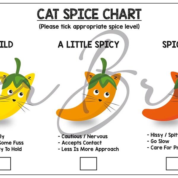 Spice Chart - Etsy