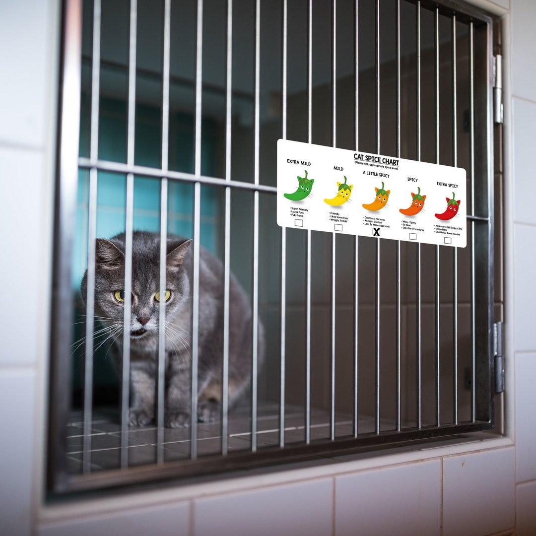 Unique & Creative Vet Cat Dog Spice Temperament Chart - Instant Digital ...