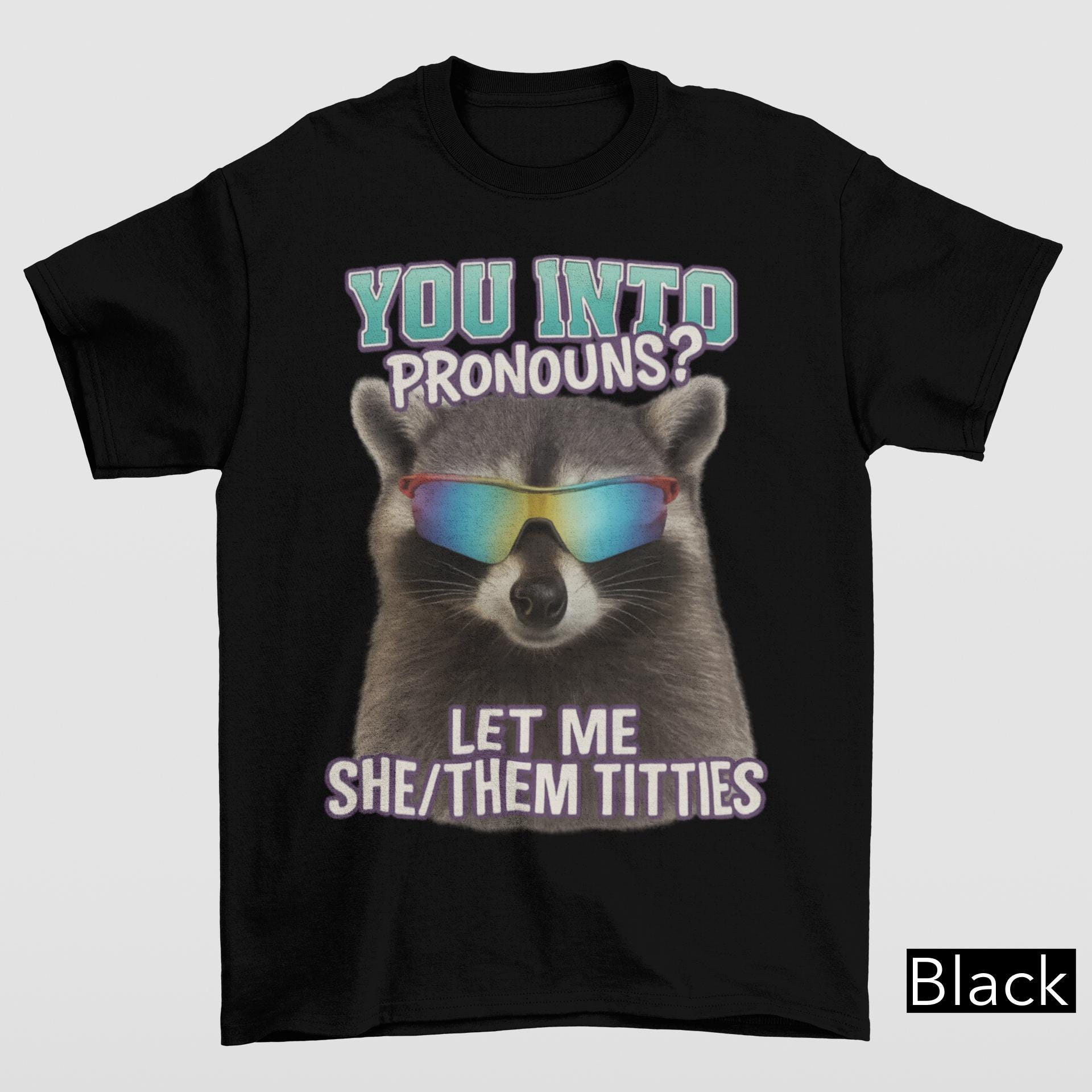 You Into Pronouns? Let Me She/them Titt*es, Vintage Unhinged Raccoon ...