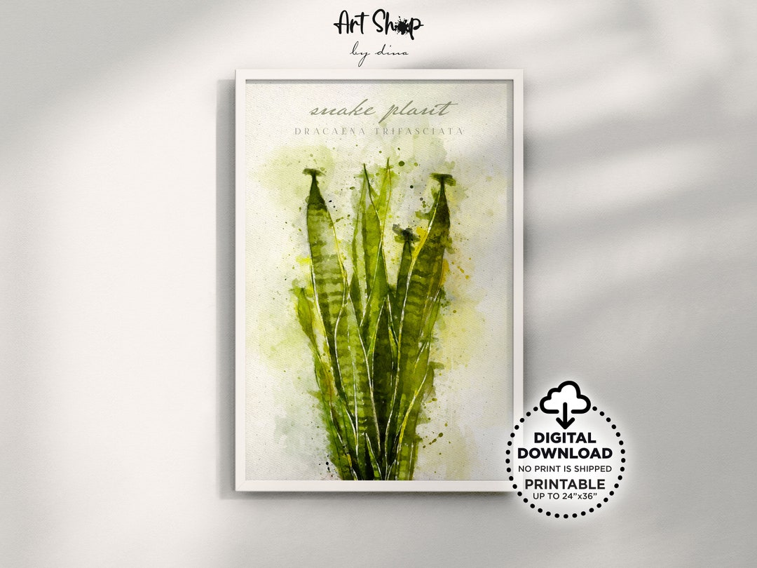 Watercolor Snake Plant Printable Wall Art, Tropical Foliage Print for ...