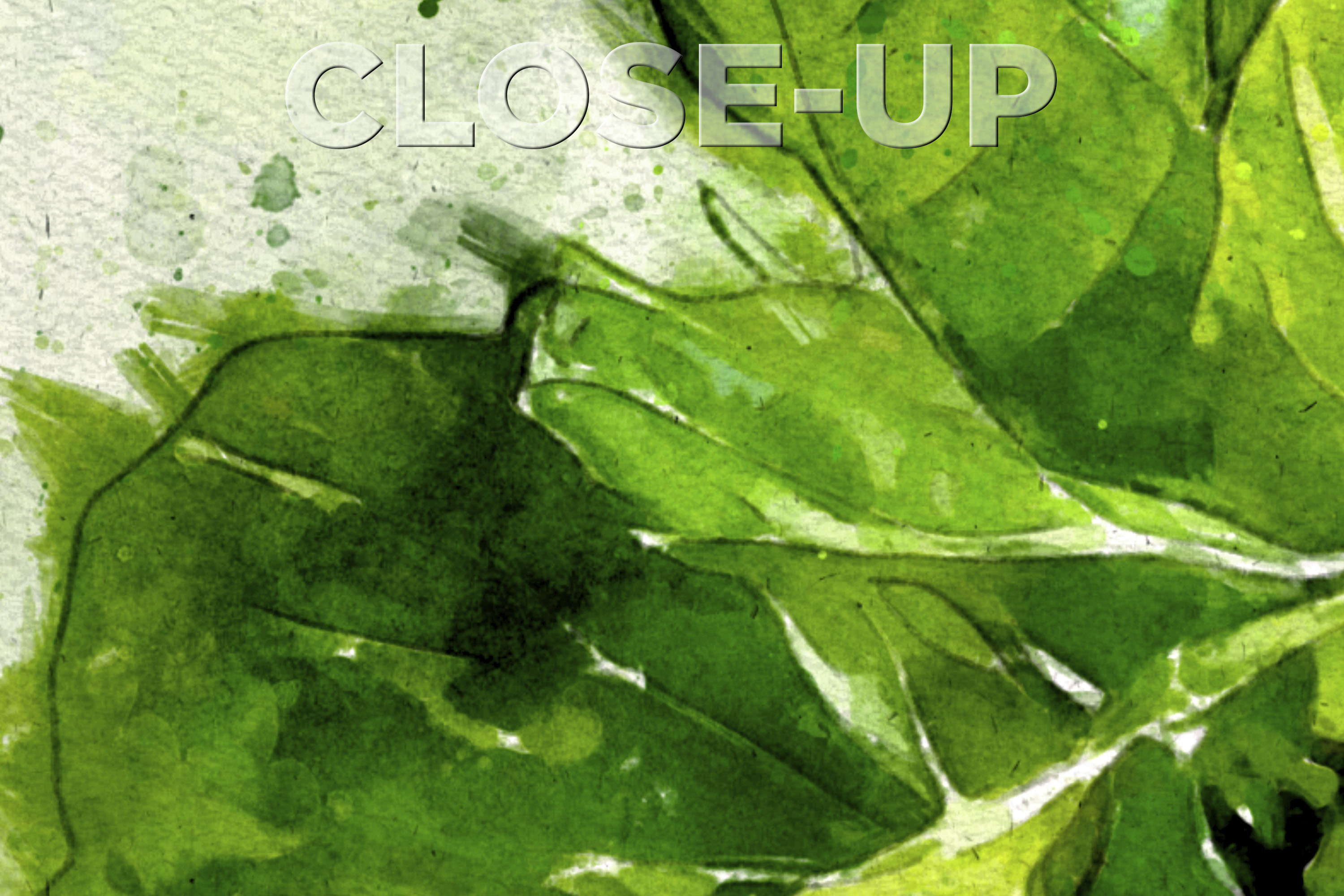 Watercolor Fiddle-leaf Fig Printable Wall Art, Tropical Plant Print for ...