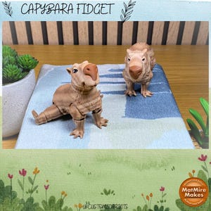 3D Printed Capybara - Articulated Fidget - Etsy