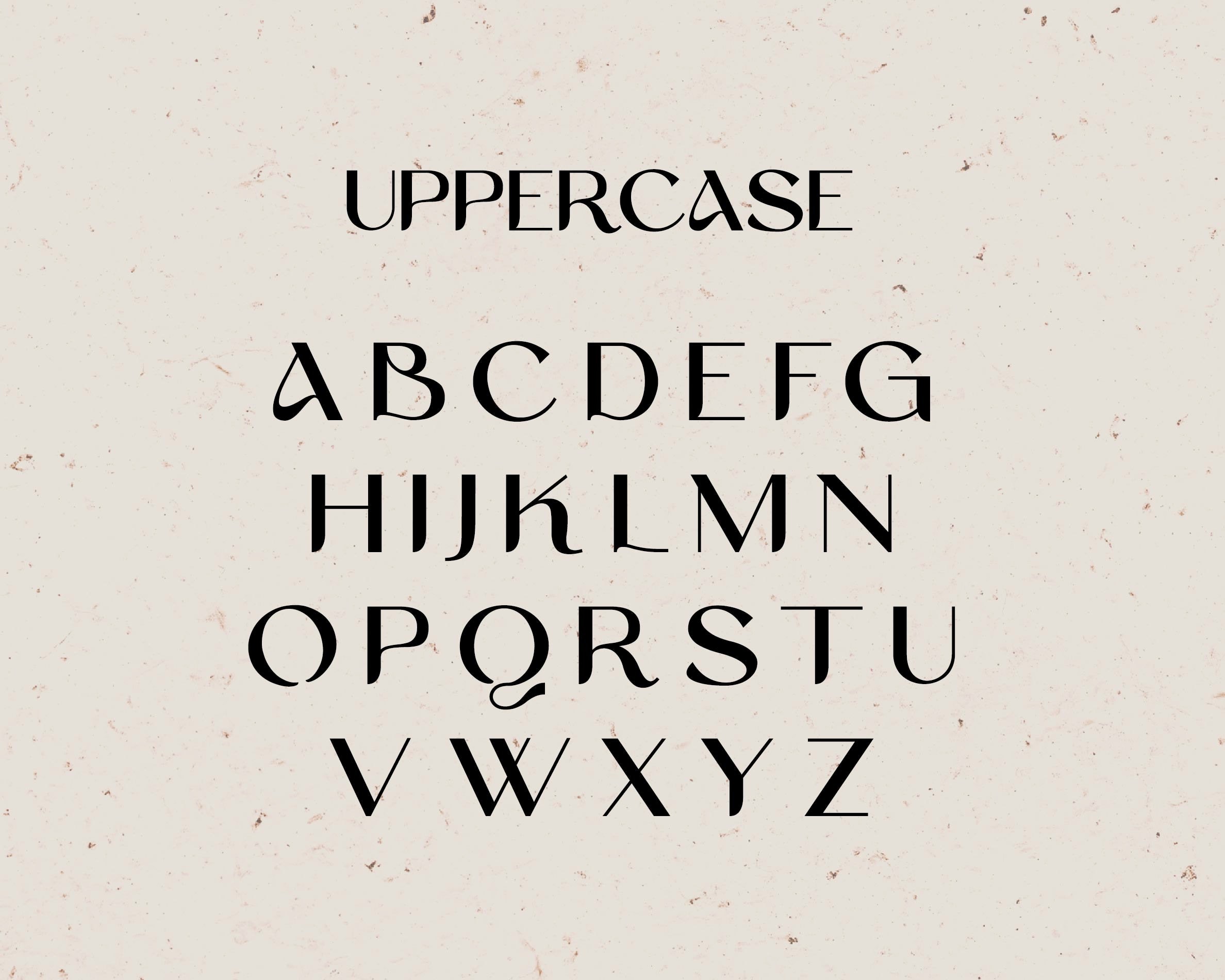 Bamdosa Font Sans Serif Font, Modern Font, Branding Font, Elegant Font ...