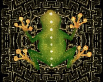 Kambo Frog - Etsy