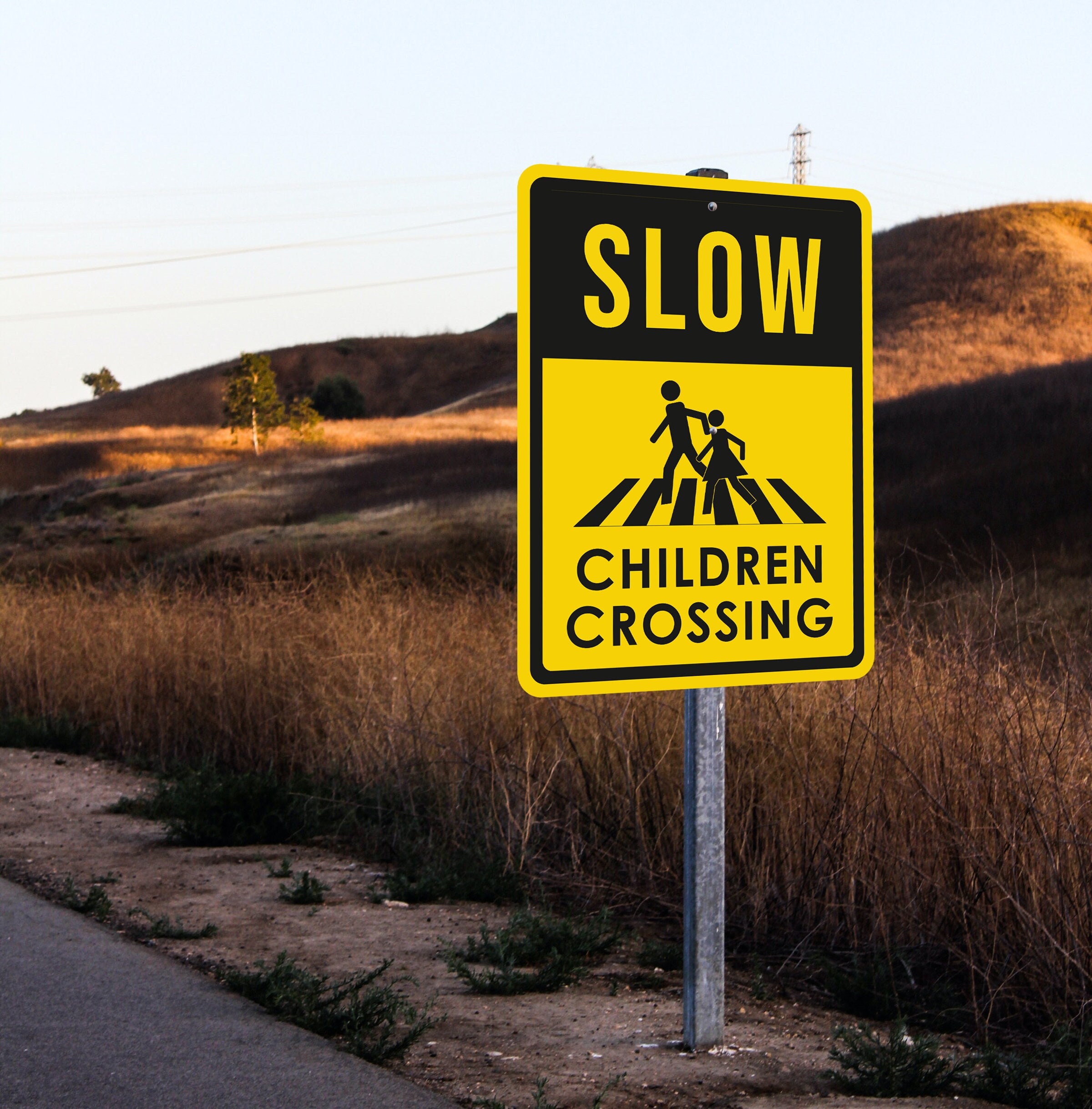 Slow Children Crossing Sign