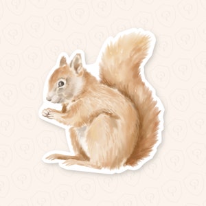 MISTY MORNING Sticker Sheet / Bujo Stickers Planner Stickers - Etsy