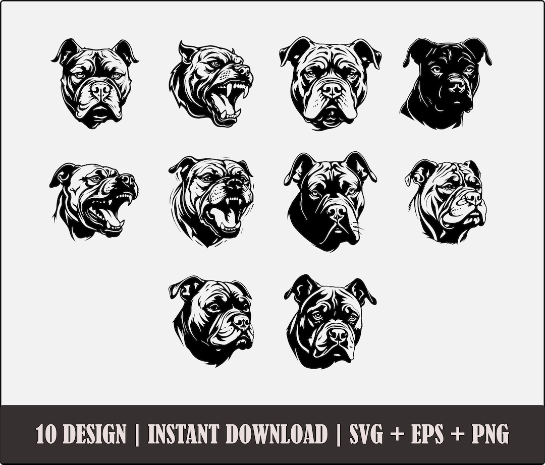 American Bully SVG American Bully Png Bully Svg Pitbull Svg American ...