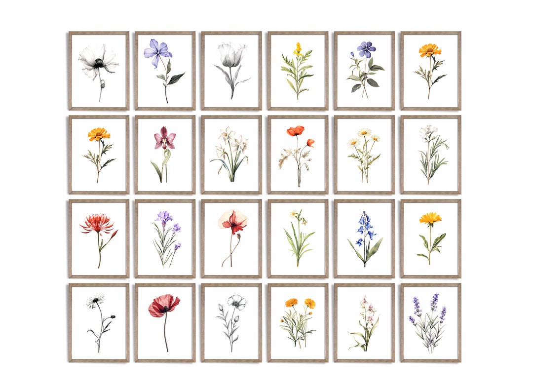Botanical Flower 24 Poster Bundle Boho Cottagecore Decor - Etsy