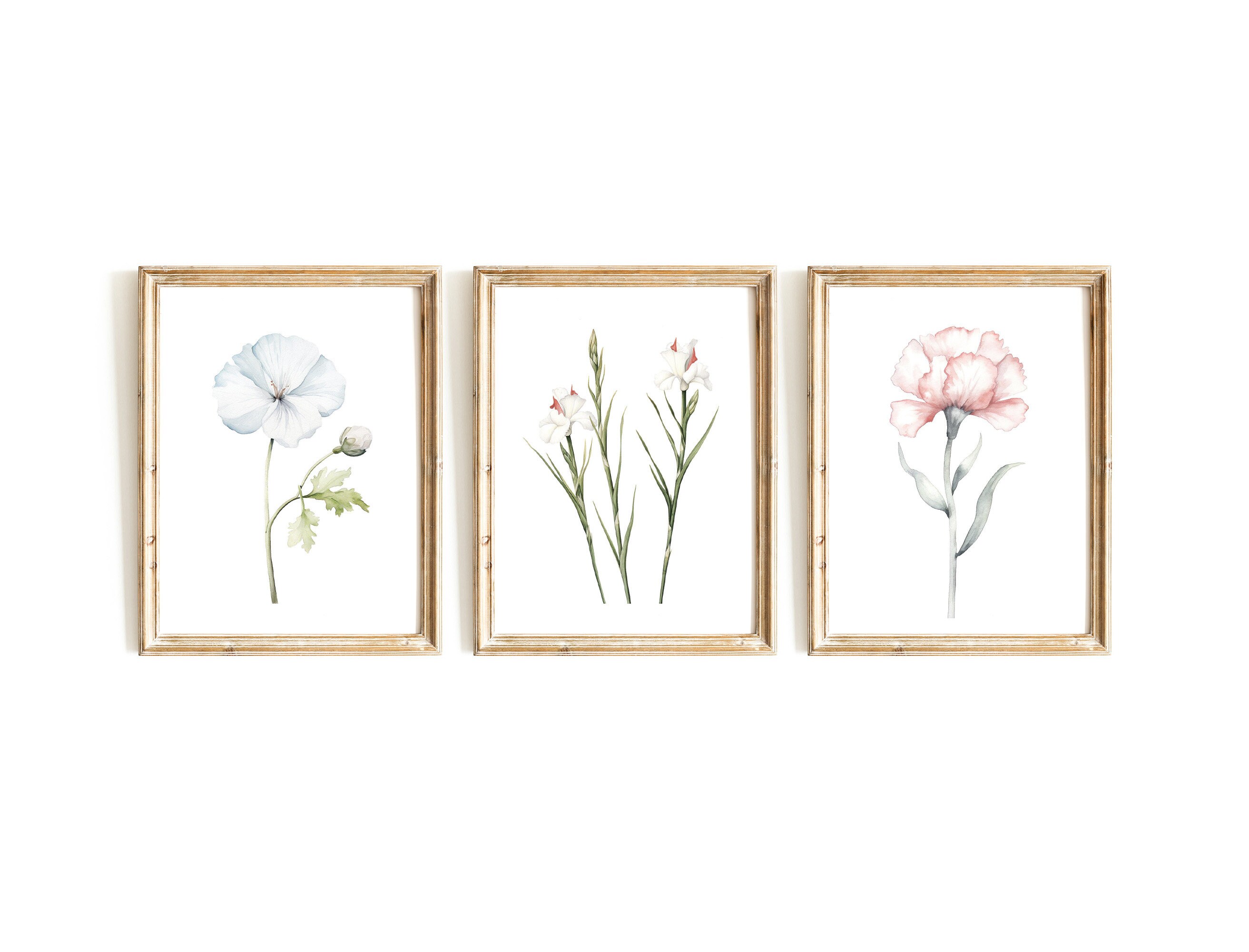 Botanical Flower 24 Poster Bundle Boho Cottagecore Decor - Etsy