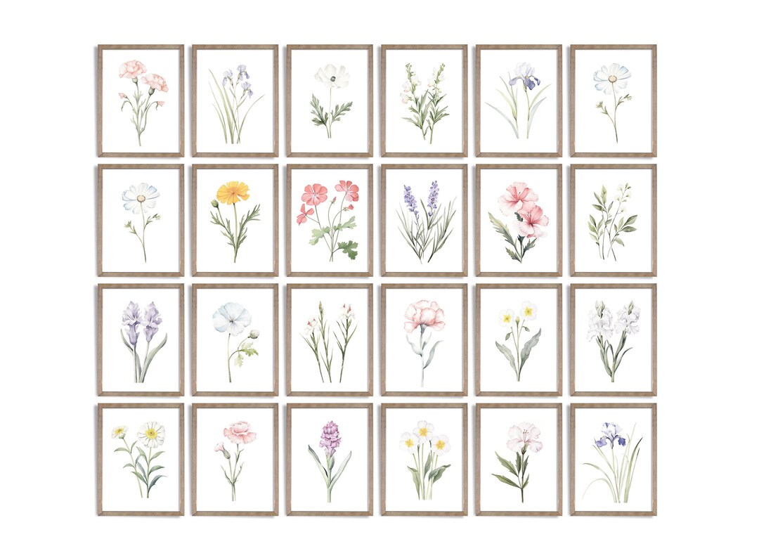 Botanical Flower 24 Poster Bundle Boho Cottagecore Decor - Etsy