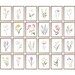 Botanical Flower 24 Poster Bundle Boho Cottagecore Decor - Etsy