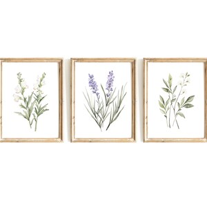 Botanical Flower 3 Poster Set Boho Cottagecore Decor Vintage Printable ...