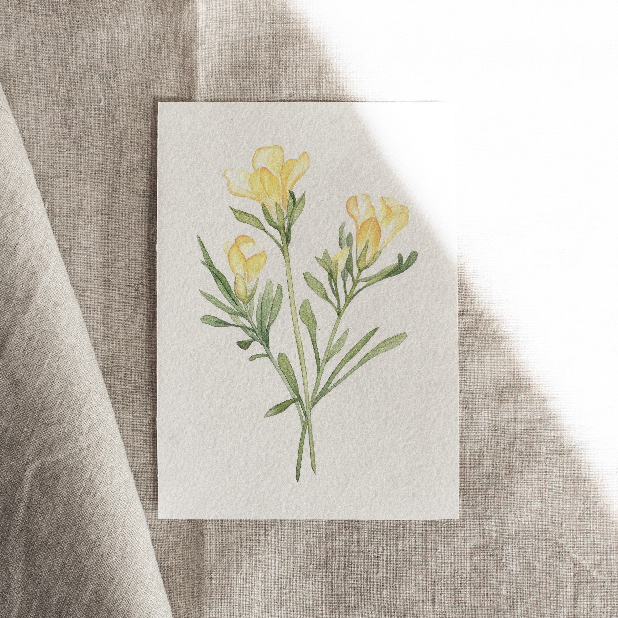 Botanical Flower 24 Poster Bundle Boho Cottagecore Decor - Etsy