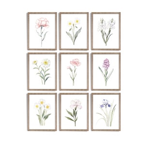 Botanical Flower 24 Poster Bundle Boho Cottagecore Decor - Etsy