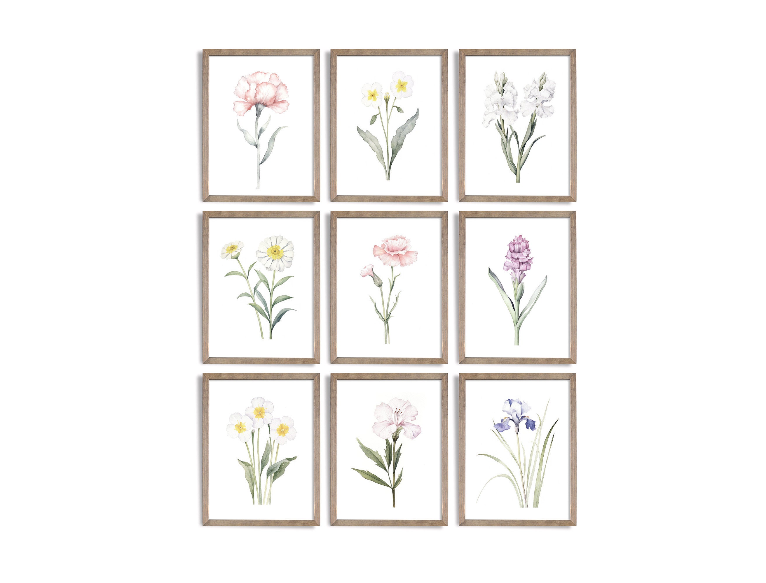 Botanical Flower 24 Poster Bundle Boho Cottagecore Decor - Etsy